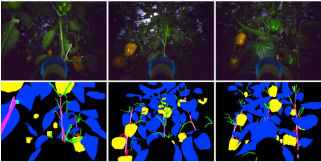 Semantic segmentation: Complete guide [Updated 2024] | SuperAnnotate